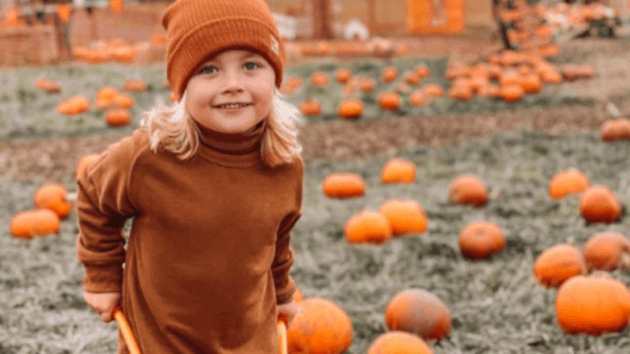 Trick or Treat Tracker - Track Halloween Candy 2025