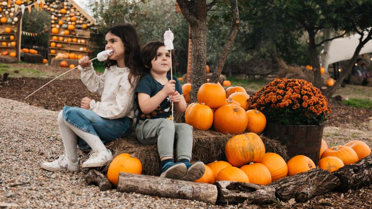 Trick or Treat Tracker - Track Halloween Candy 2025